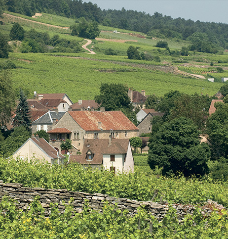 Domaine Claude Dugat - Liberty Wines