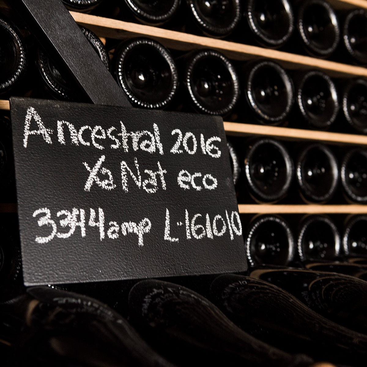 Vins Pepe Raventós - Liberty Wines