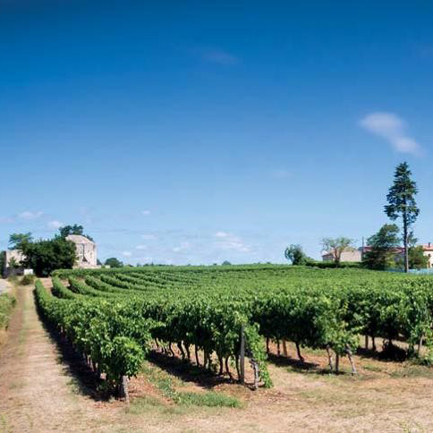 Duffour Père et Fils - Liberty Wines