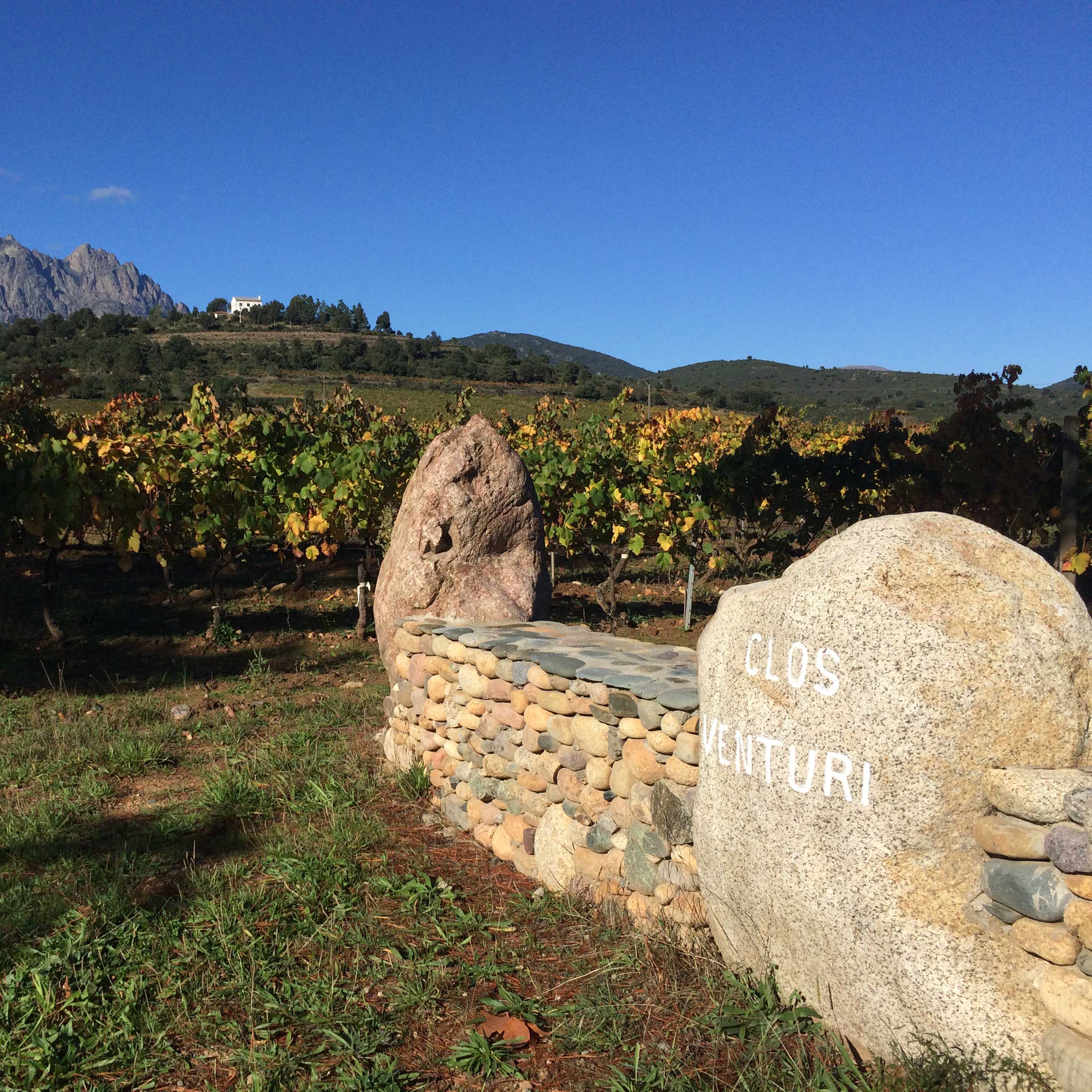 Domaine Vico - Liberty Wines