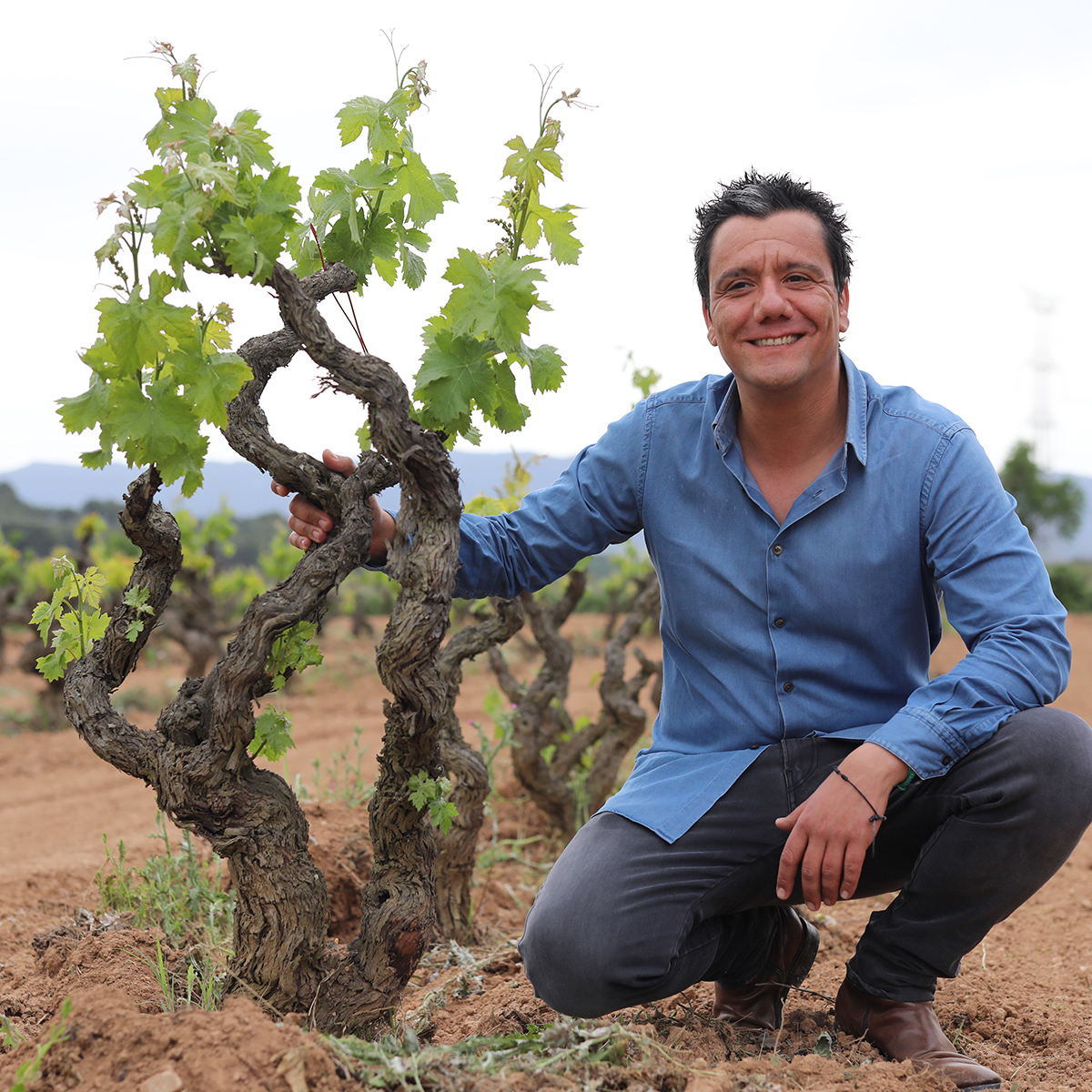 Mas La Mola - Liberty Wines