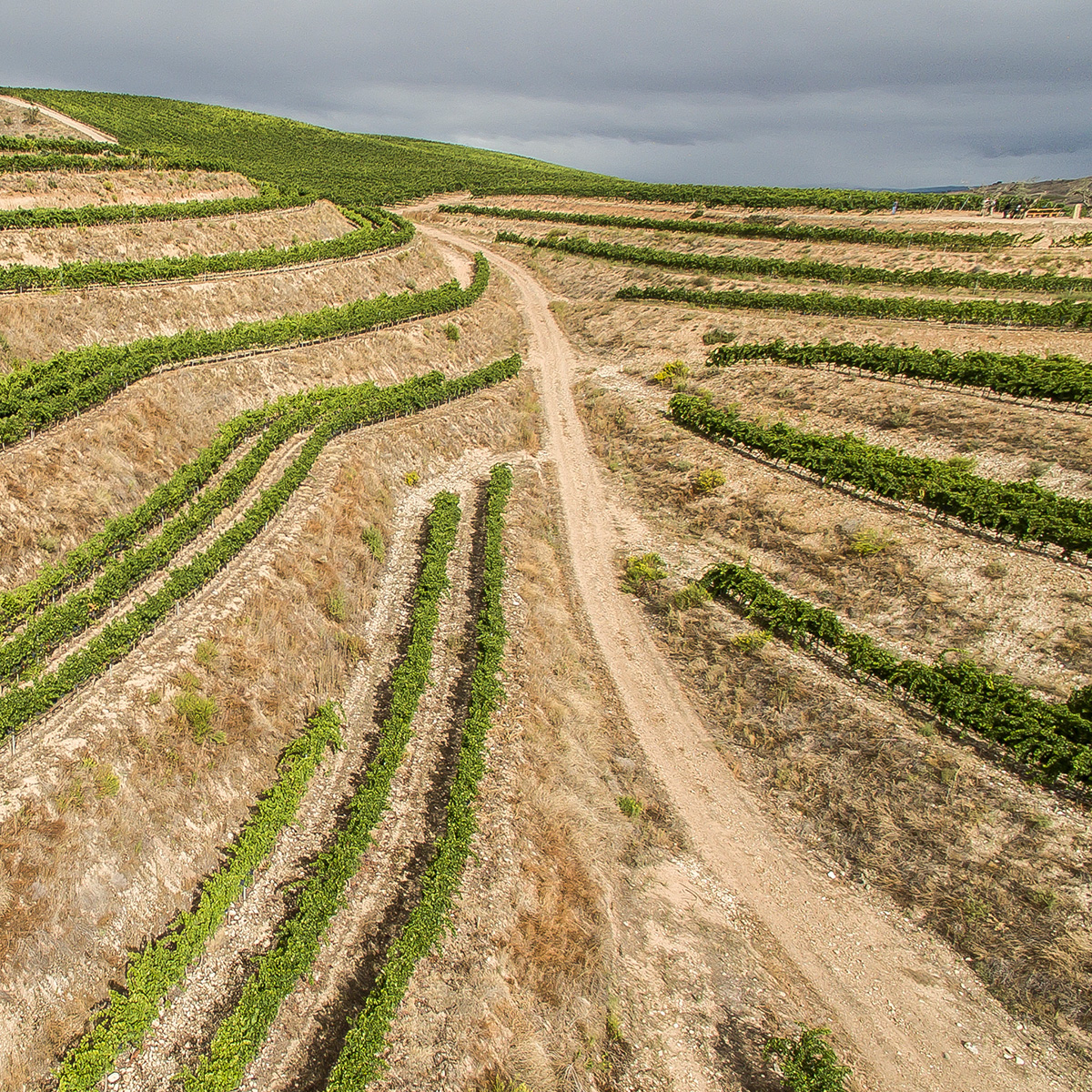 El Coto - Liberty Wines