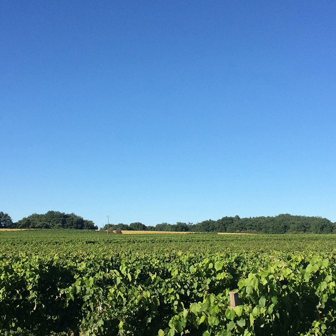 Duffour Père et Fils - Liberty Wines