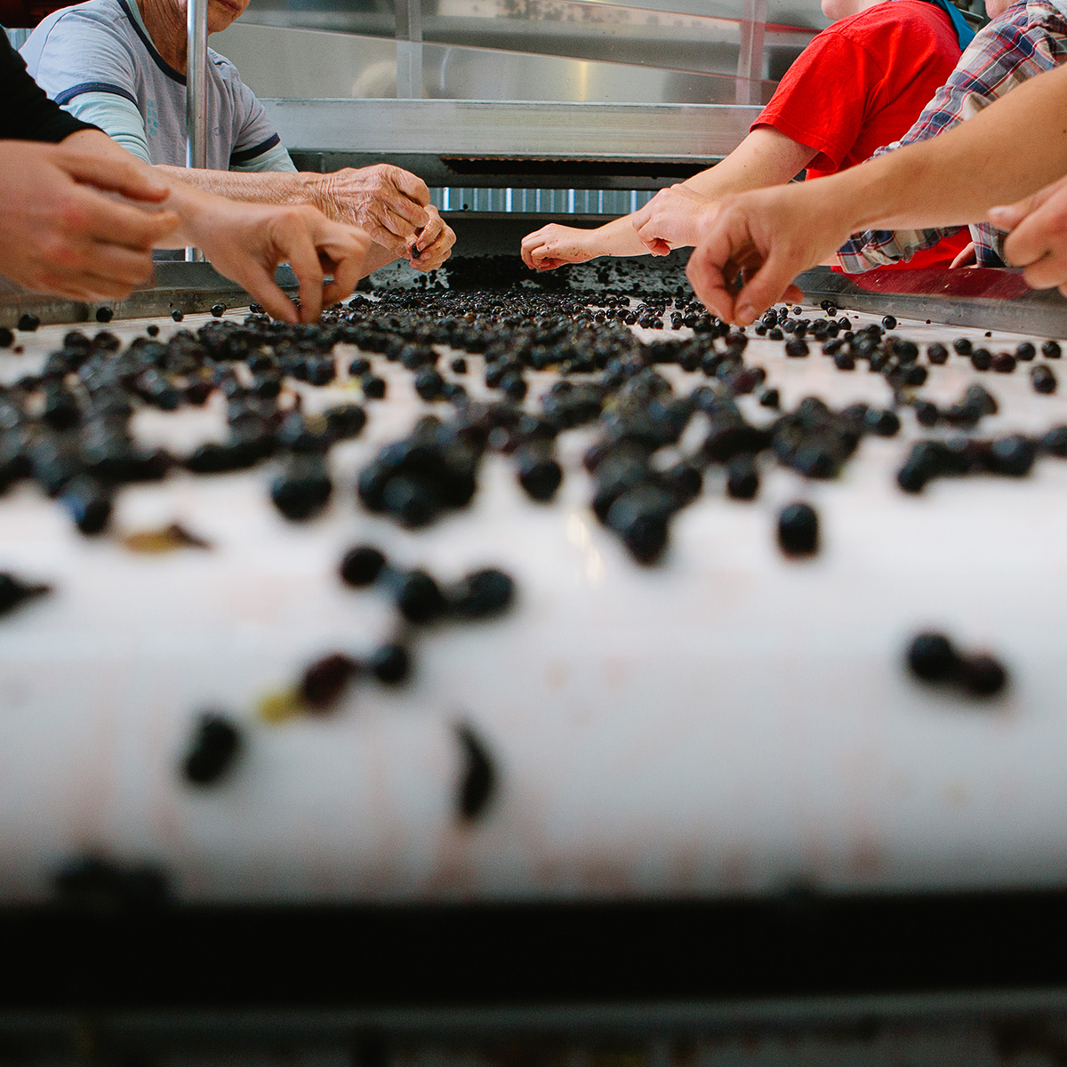 Burn Cottage - Liberty Wines