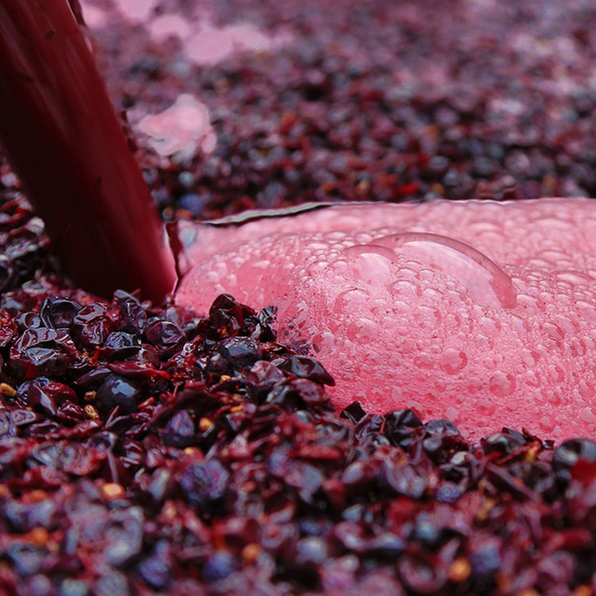 Journeyman - Liberty Wines