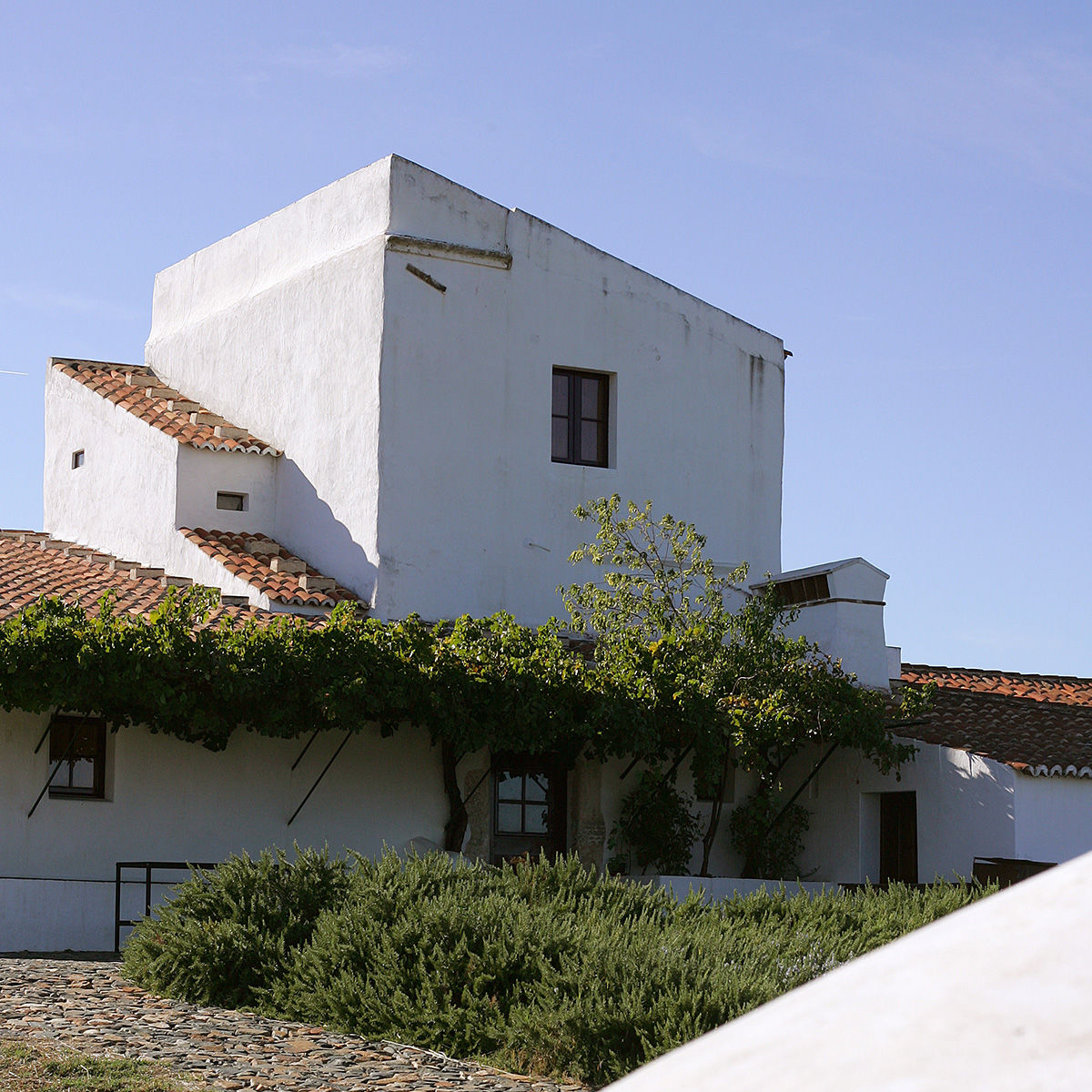 Azamor - Liberty Wines