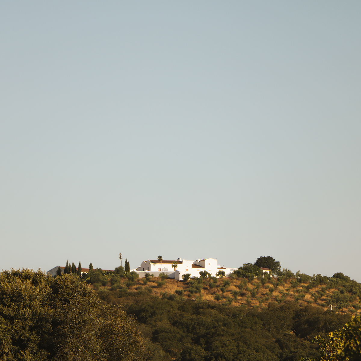 Azamor - Liberty Wines